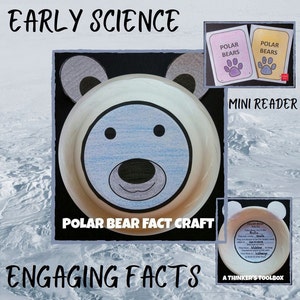 Polar Bear Science Fact Craft & Mini Reader - Etsy