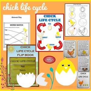 Chick Life Cycle Science Activities - Etsy