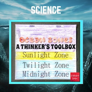 Ocean Zones Science Activities | Interactive - Etsy