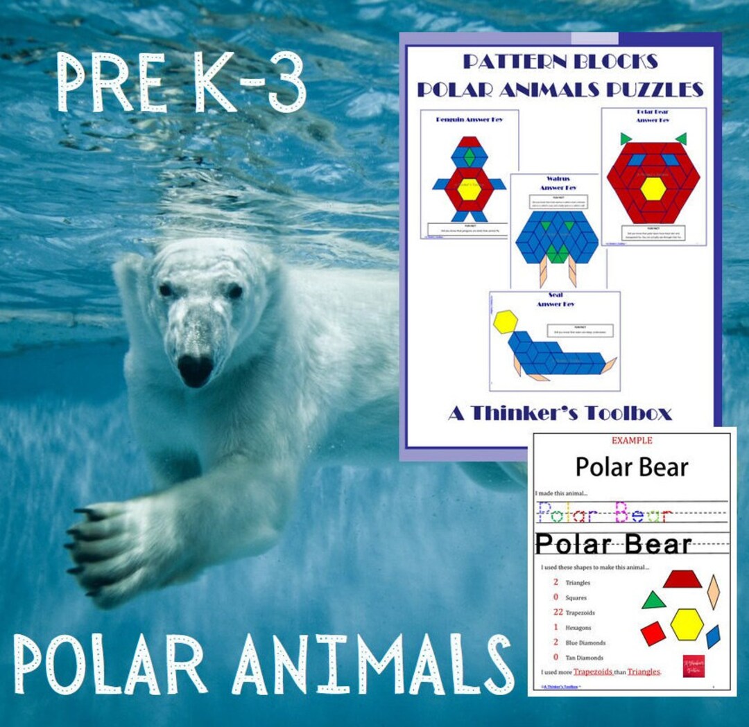 Polar Pattern Block Mat Printables & Worksheets - Etsy