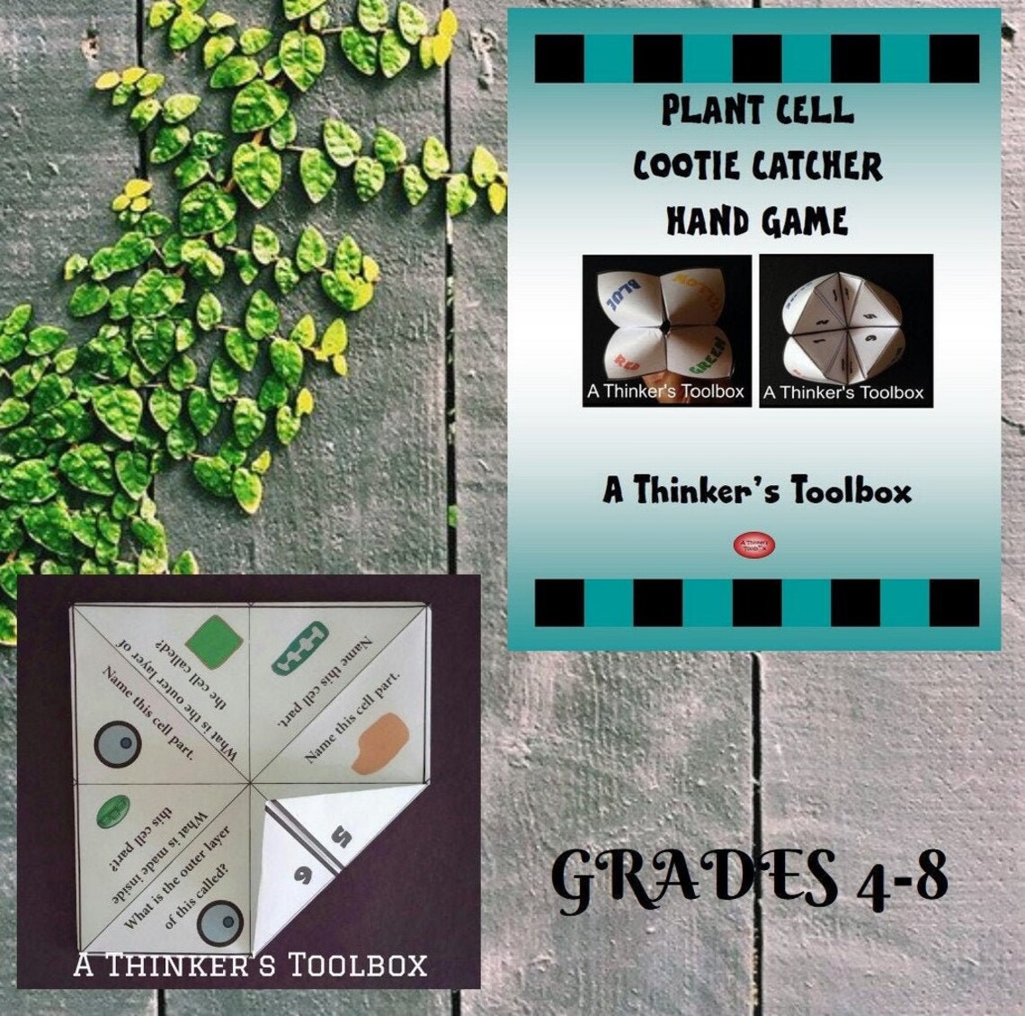 Plant Cell Hand Science Game | Cootie Catcher - Etsy