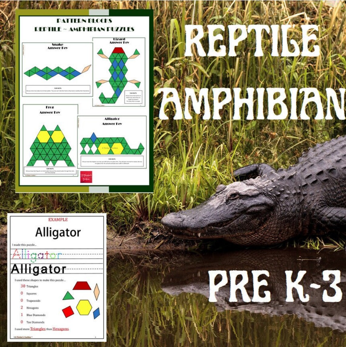 Reptiles and Amphibian Pattern Block Mat Printables & Worksheets - Etsy