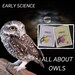 Owl Science Fact Activities & Mini Reader - Etsy