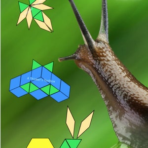 Invertebrates Pattern Block Mat Printables & Worksheets - Etsy