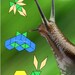 Invertebrates Pattern Block Mat Printables & Worksheets - Etsy