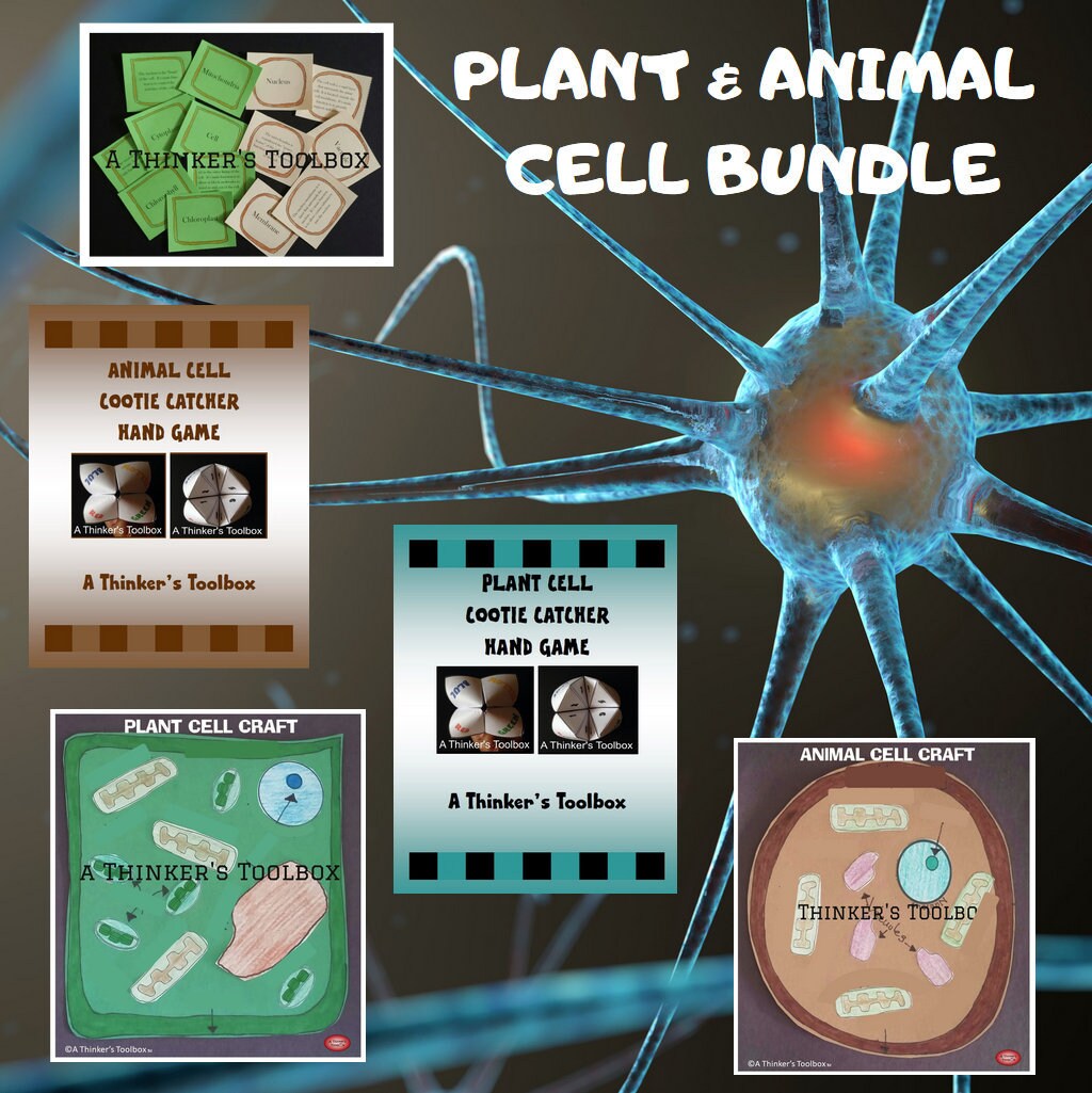 Plant and Animal Cell Science BUNDLE | Etsy