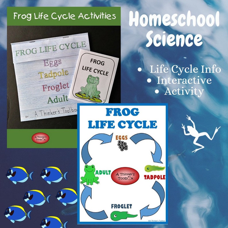 Frog Life Cycle Science Activities - Etsy