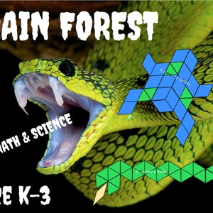 Rain Forest Pattern Block Mat Printables & Worksheets - Etsy