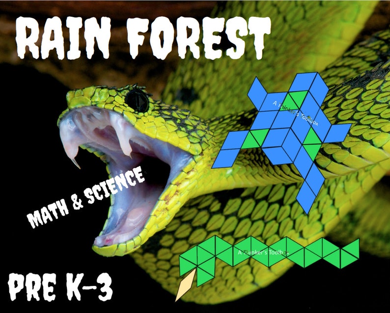 Rain Forest Pattern Block Mat Printables & Worksheets - Etsy