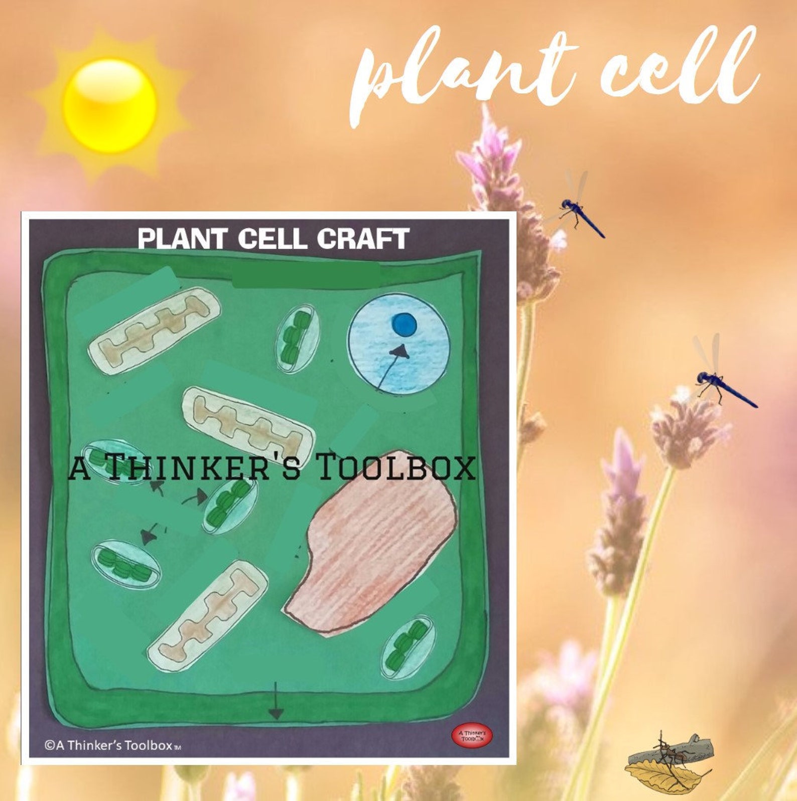 Plant Cell Science Craft classroom Decor - Etsy