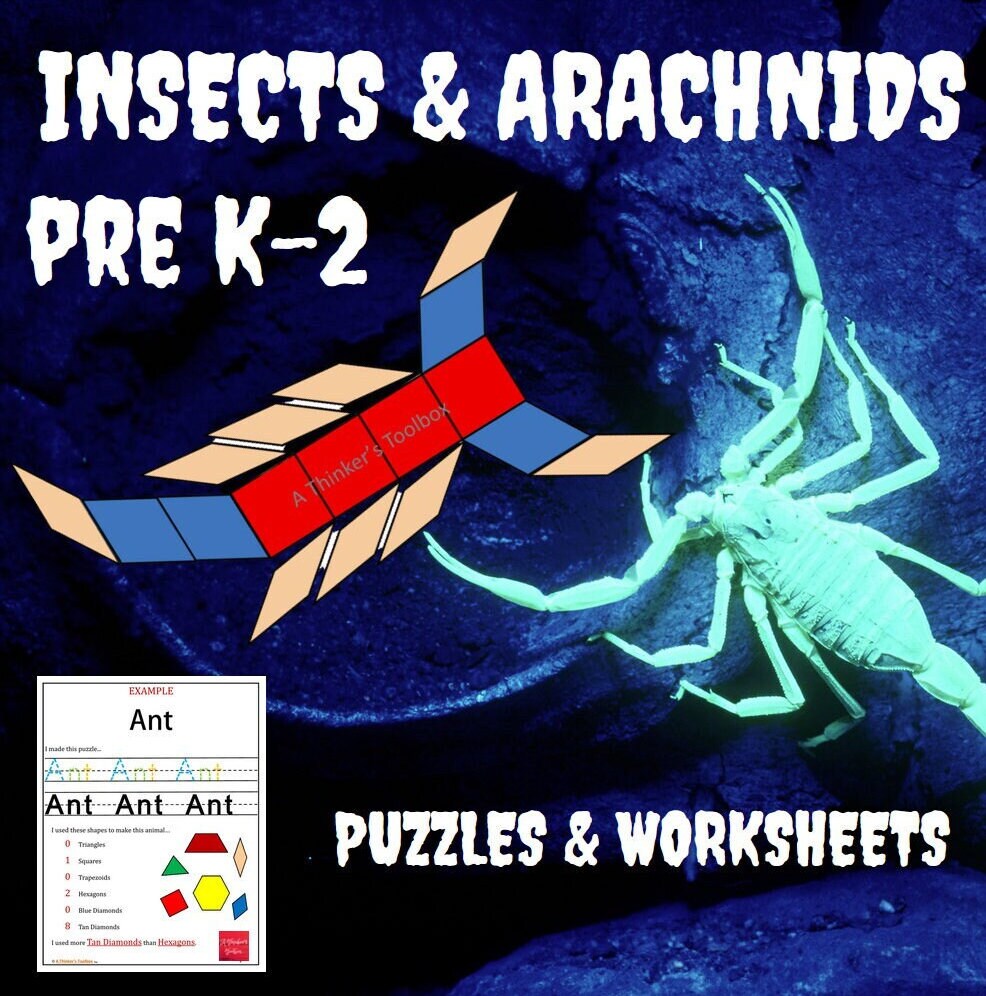 Insects and Arachnid Pattern Block Mat Printables & Worksheets - Etsy
