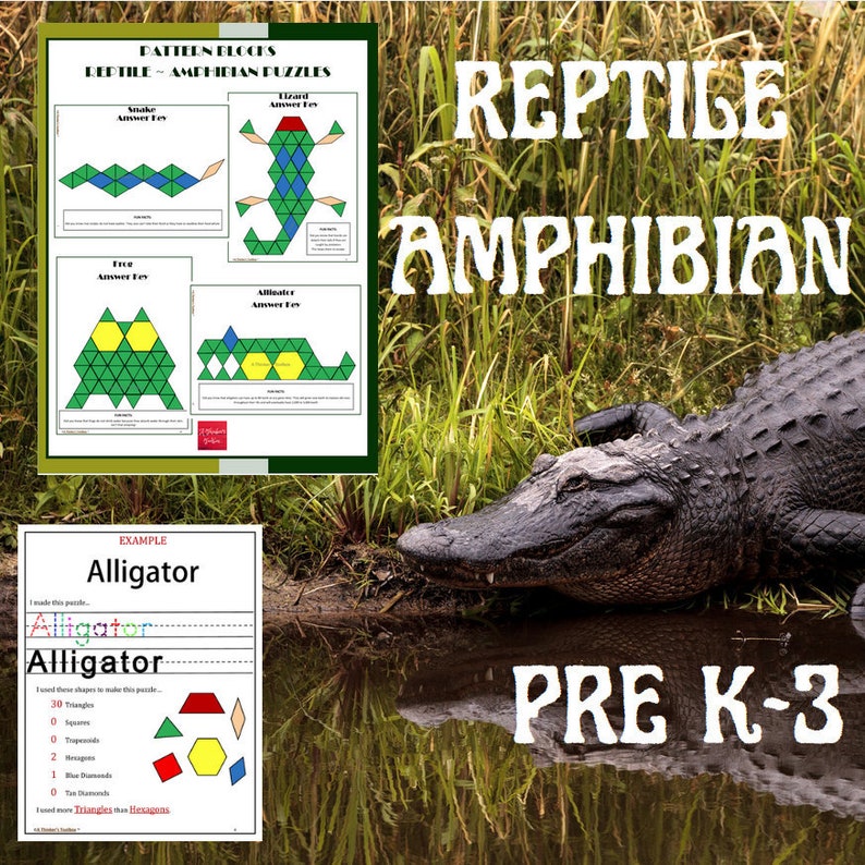 Reptiles and Amphibian Pattern Block Mat Printables & - Etsy