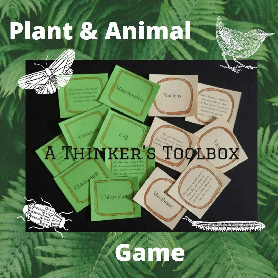 Plant and Animal Cell Study Cards/memory Game - Etsy