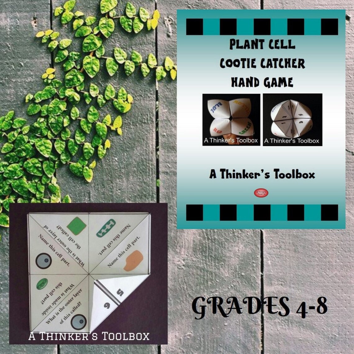 Plant Cell Hand Science Game Cootie Catcher - Etsy