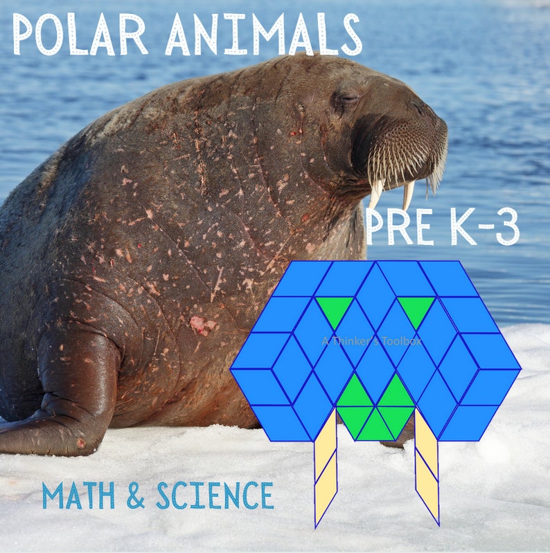 Polar Pattern Block Mat Printables & Worksheets - Etsy