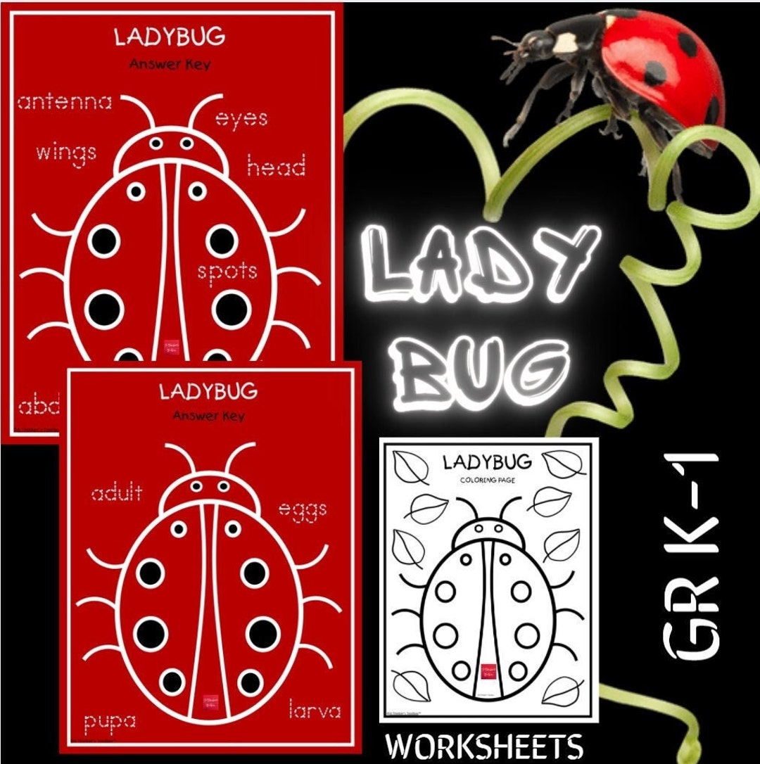 Lady Bug Science Worksheets Connect the Dots - Etsy