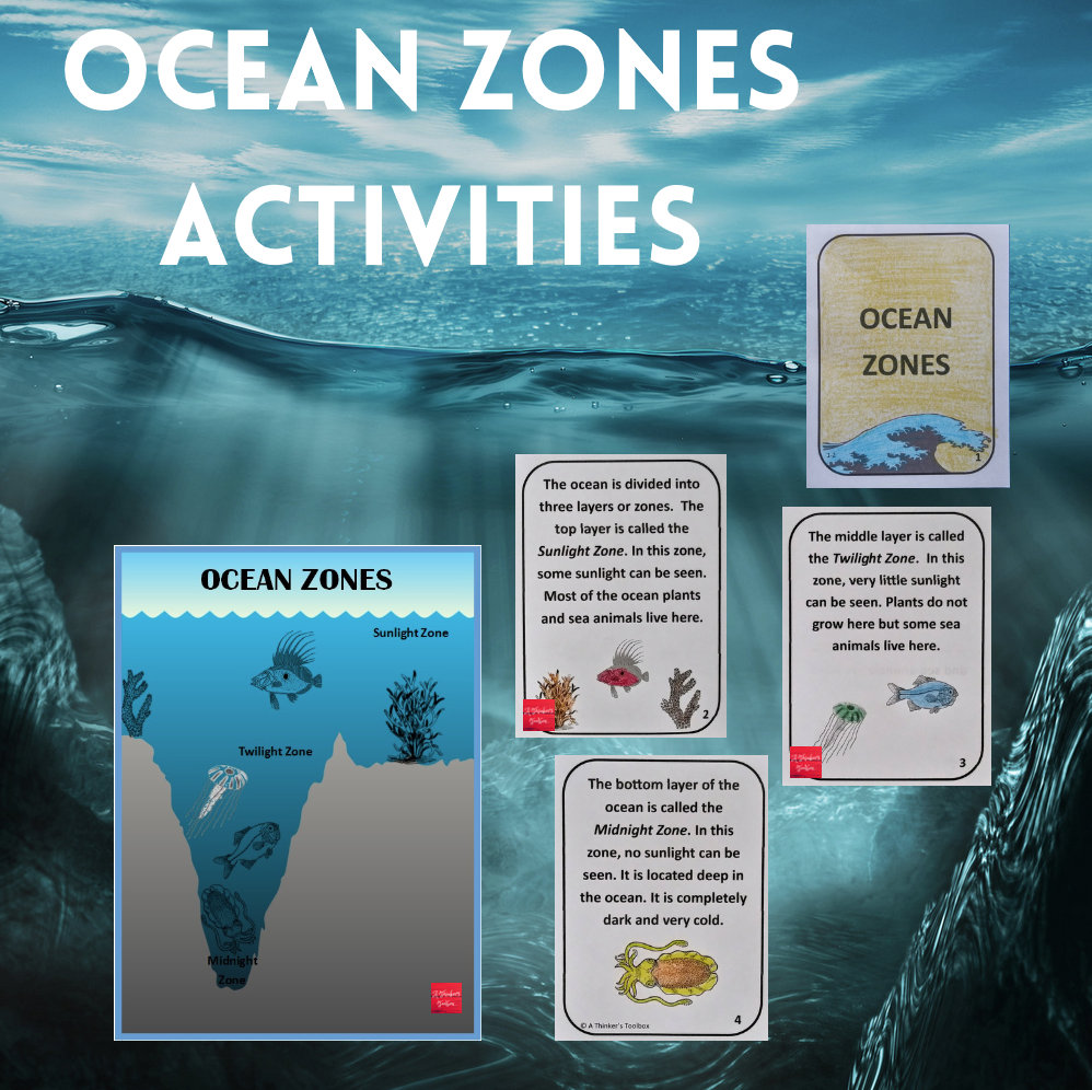 Ocean Zones Science Activities | Interactive - Etsy