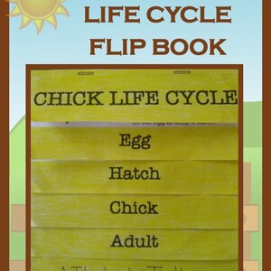 Chick Life Cycle Science Activities - Etsy
