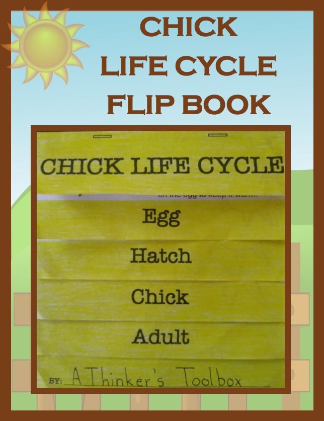 Chick Life Cycle Science Activities - Etsy