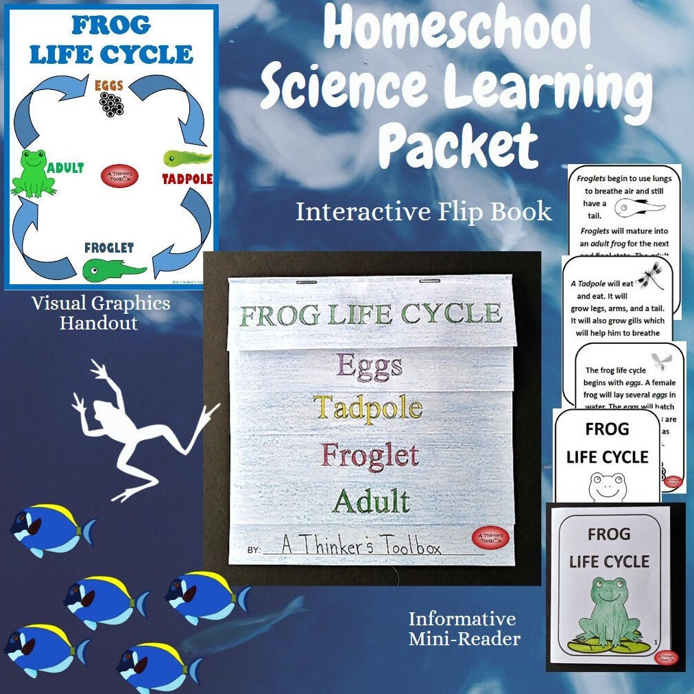 Frog Life Cycle Science Activities - Etsy