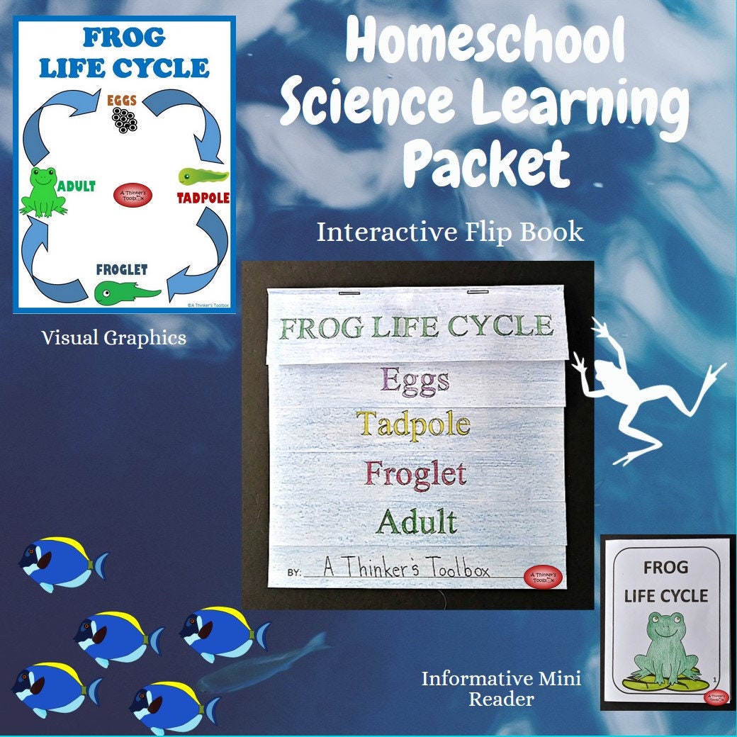 Frog Life Cycle Science Activities - Etsy