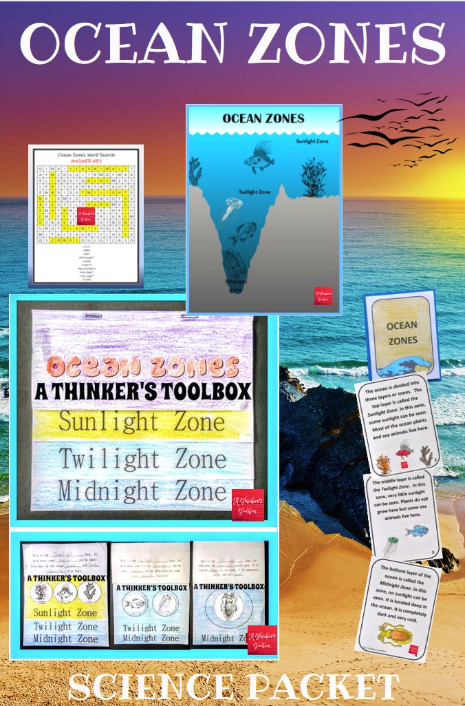 Ocean Zones Science Activities | Interactive - Etsy