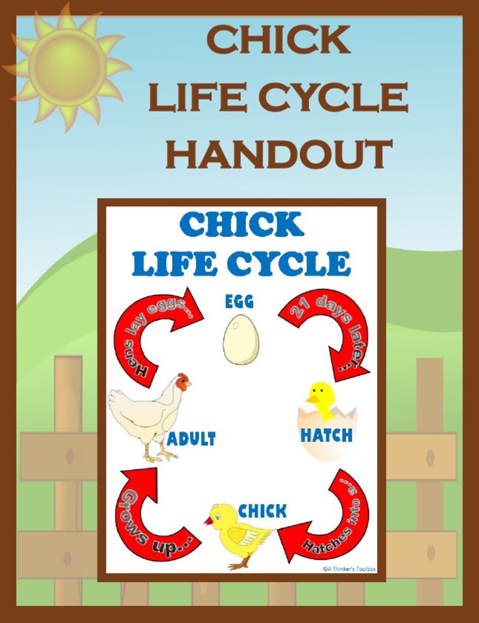 Chick Life Cycle Science Activities - Etsy