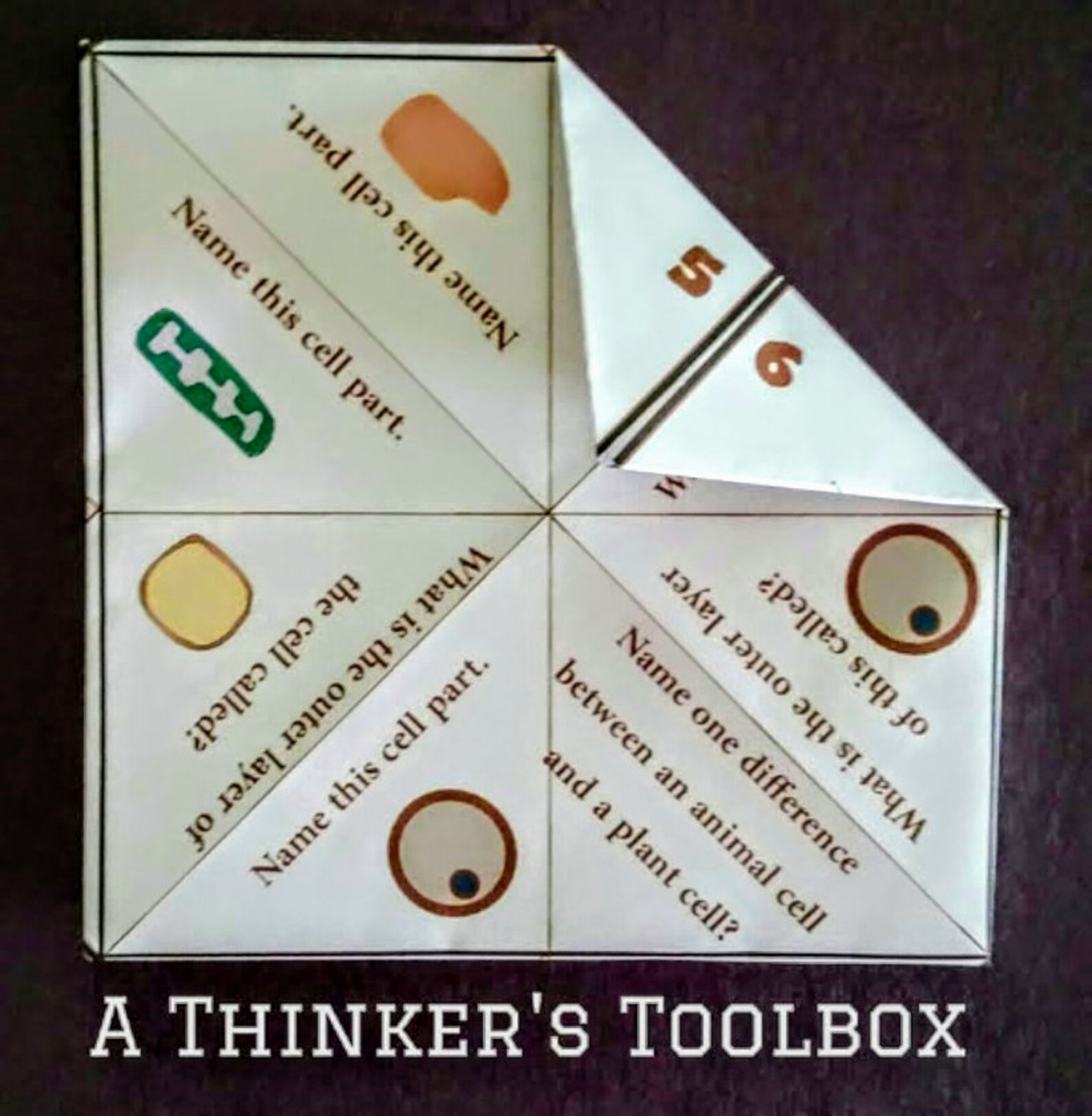 Animal Cell Hand Science Game | Cootie Catcher - Etsy