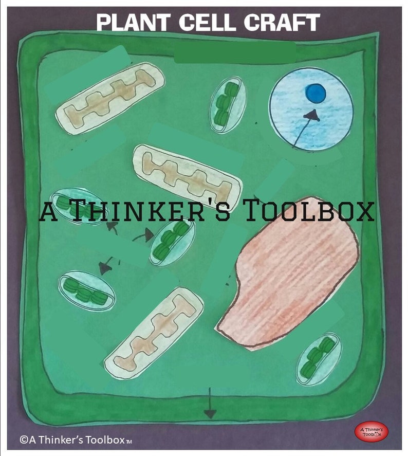 Plant Cell Science Craft (classroom Decor) - Etsy