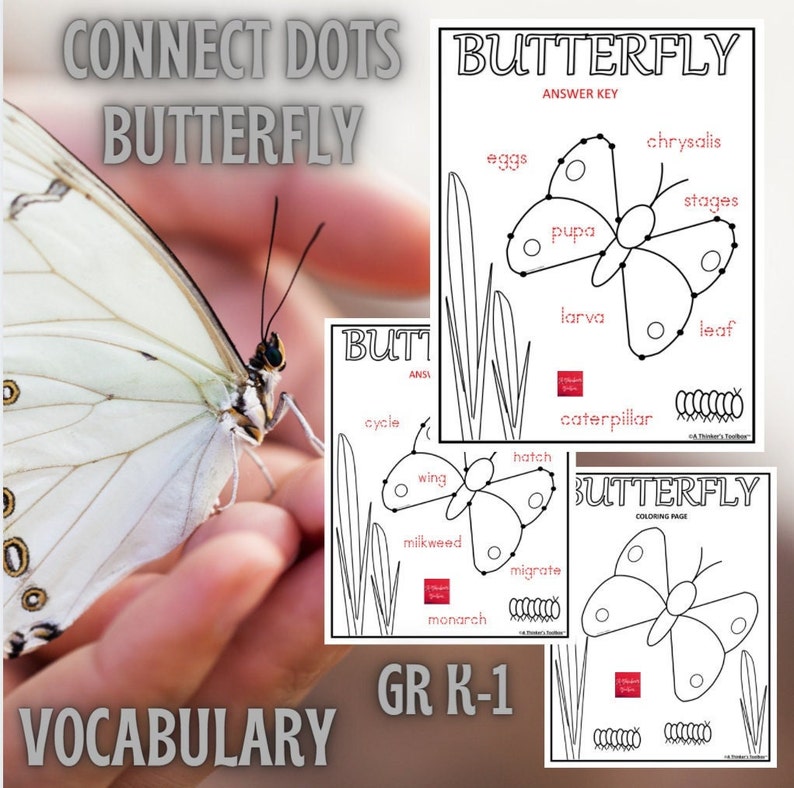 Butterfly Life Cycle Vocabulary Worksheets - Connect the Dots - Etsy