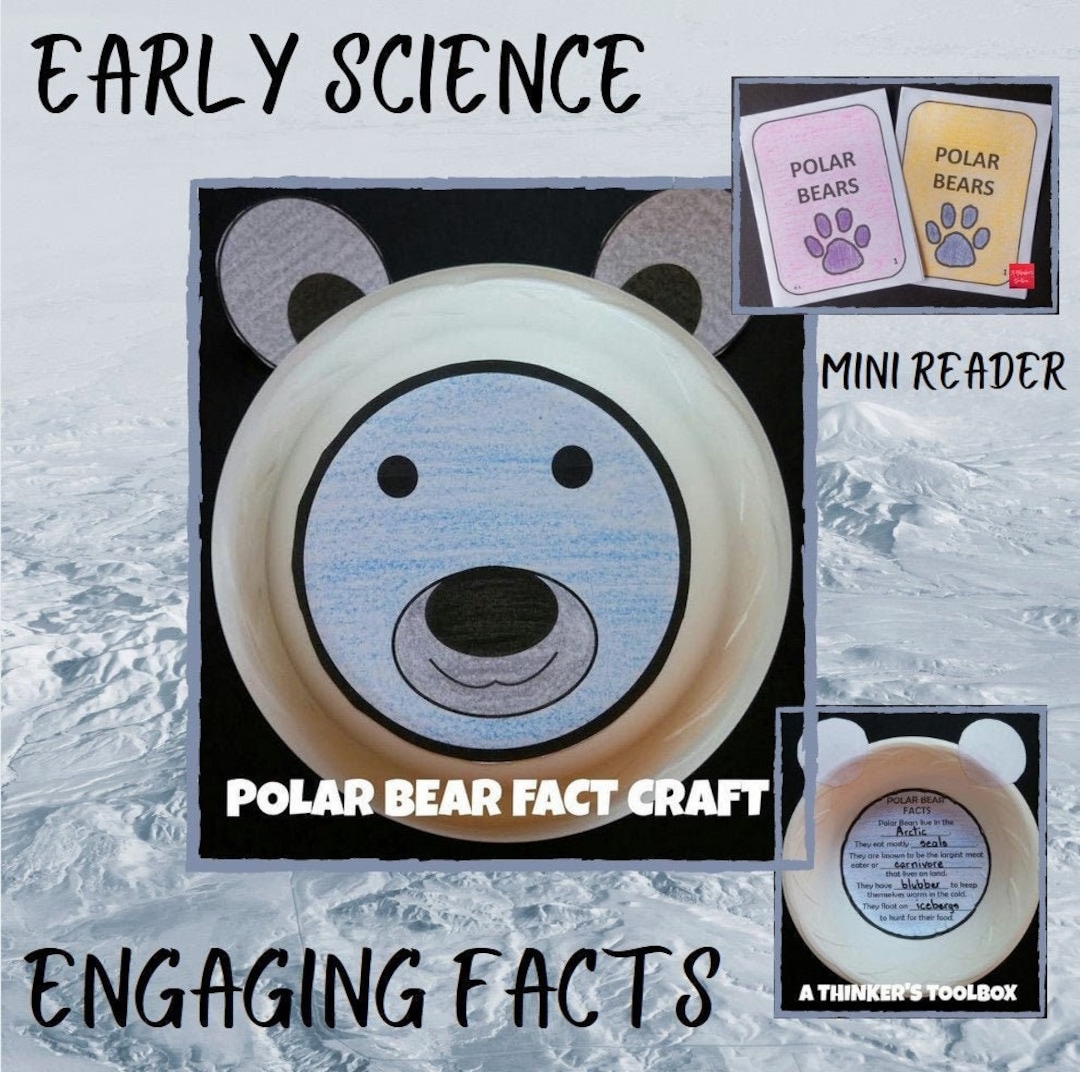 Polar Bear Science Fact Craft & Mini Reader - Etsy
