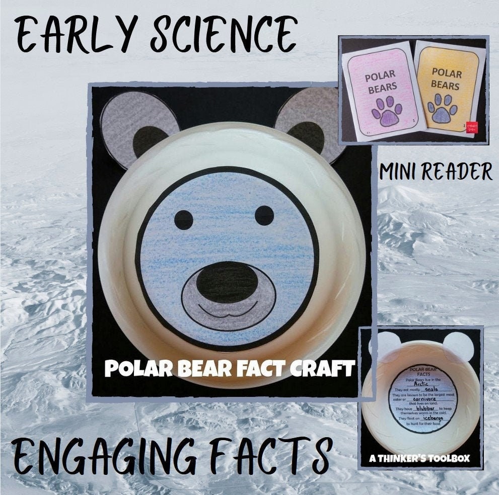 Polar Bear Science Fact Craft & Mini Reader - Etsy