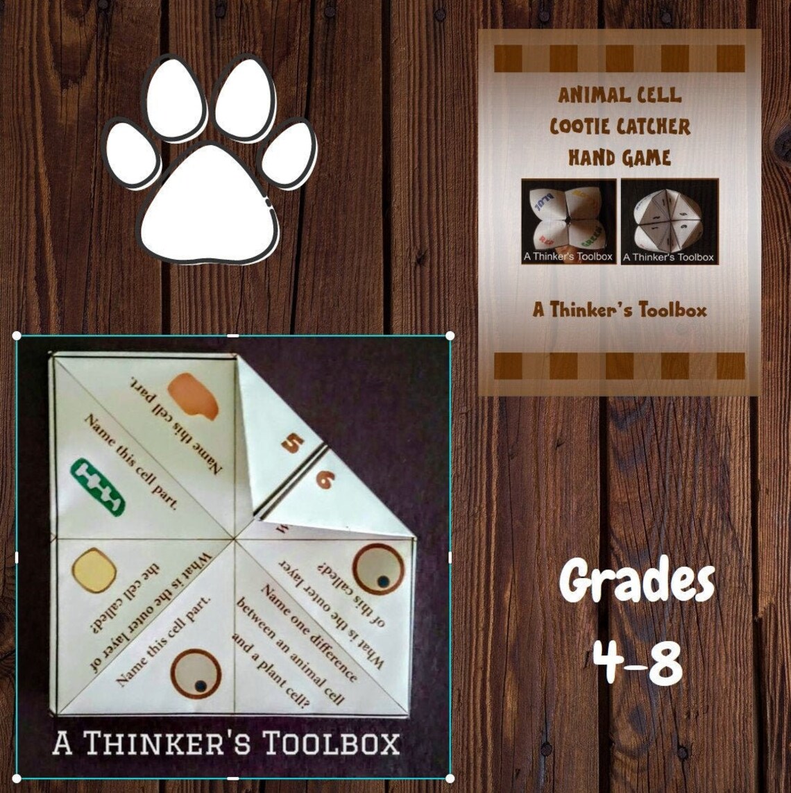 Animal Cell Hand Science Game Cootie Catcher - Etsy