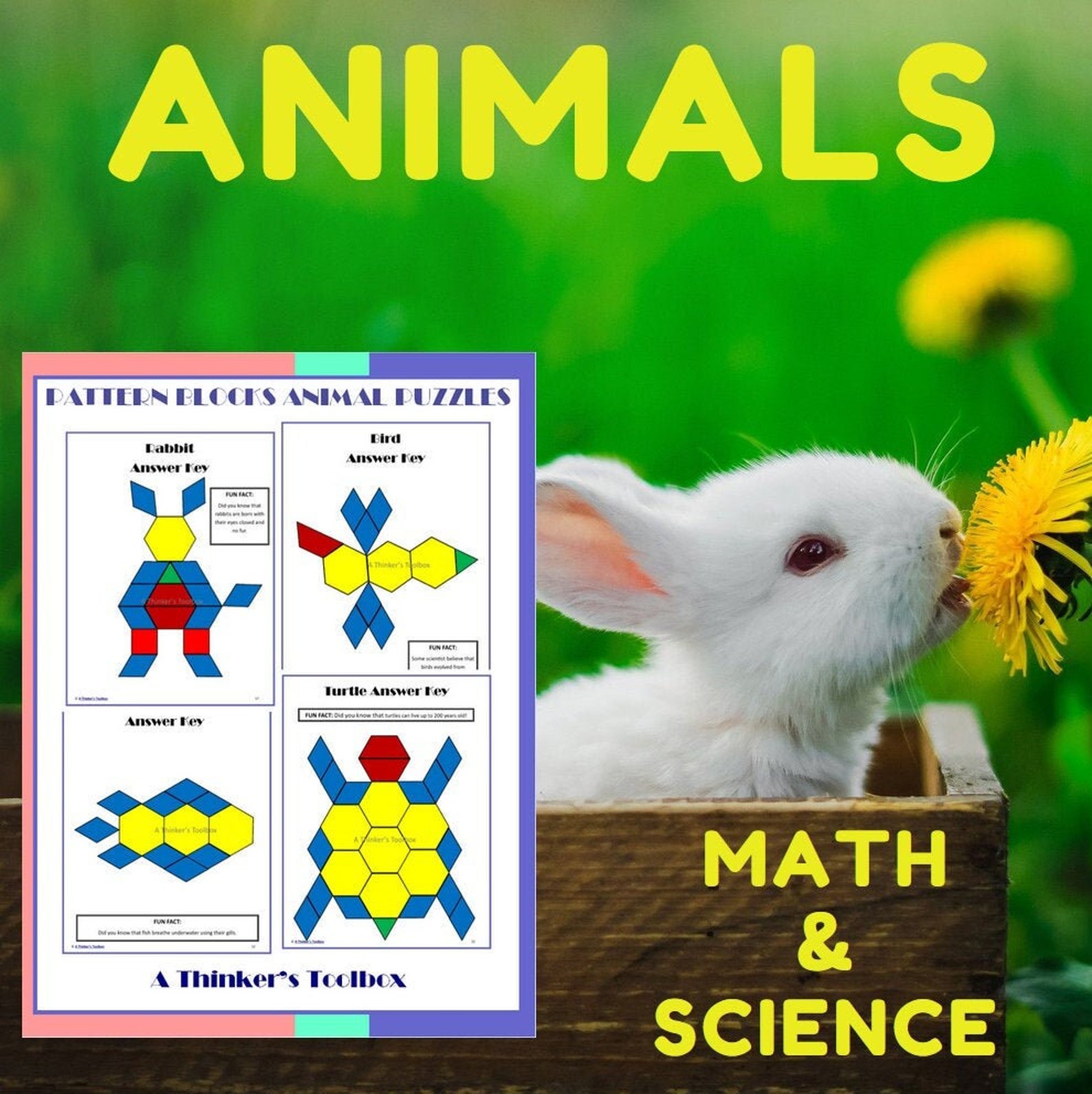 Animals Pattern Block Mat Printables & Worksheets - Etsy