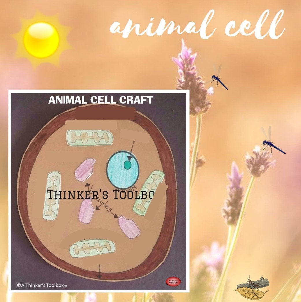 Animal Cell Science Craft classroom Decor - Etsy