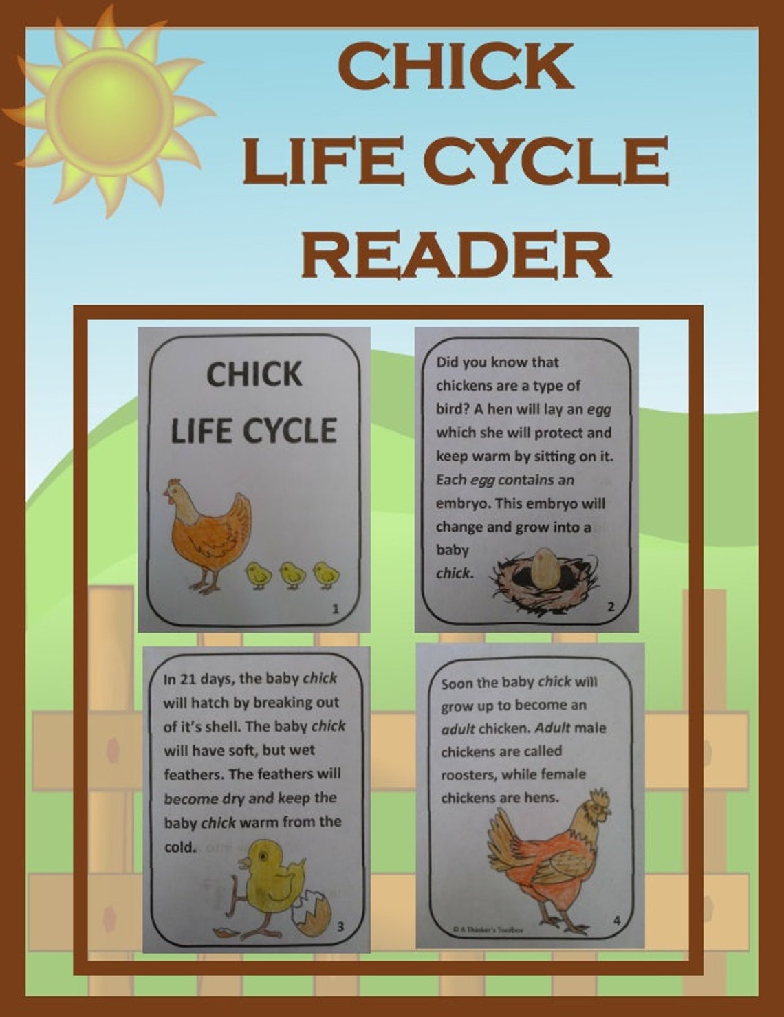 Chick Life Cycle Science Activities - Etsy