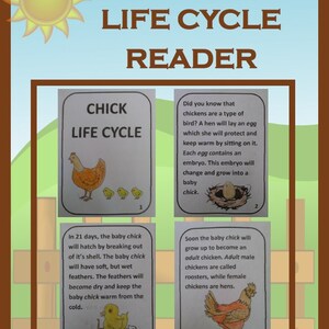 Chick Life Cycle Science Activities - Etsy