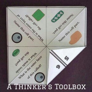 Plant Cell Hand Science Game | Cootie Catcher - Etsy