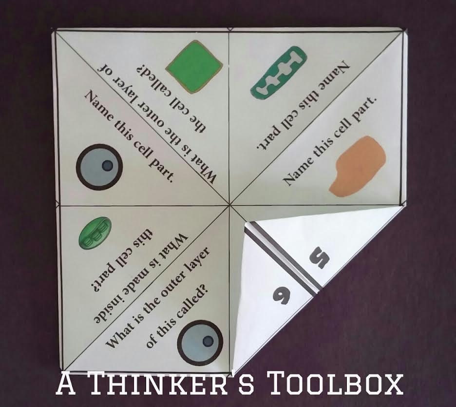 Plant Cell Hand Science Game | Cootie Catcher - Etsy