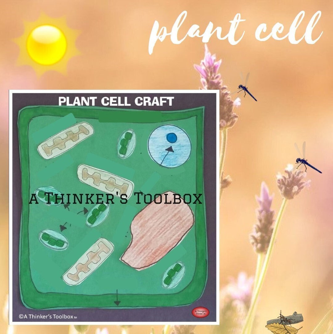 Plant Cell Science Craft classroom Decor - Etsy