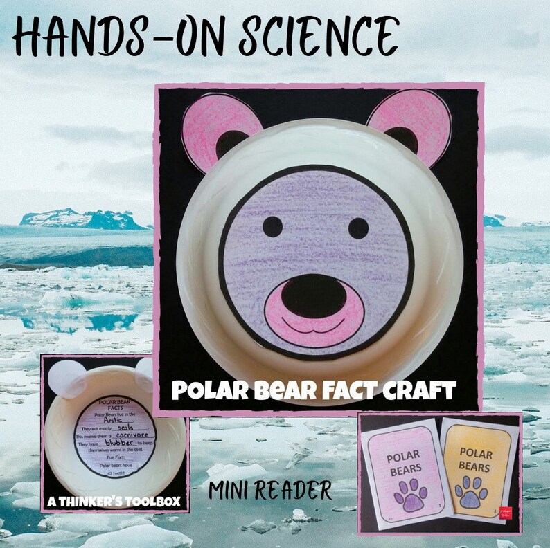 Polar Bear Science Fact Craft & Mini Reader - Etsy