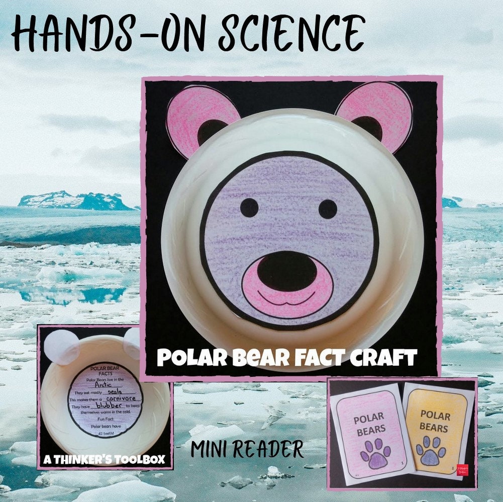 Polar Bear Science Fact Craft & Mini Reader - Etsy