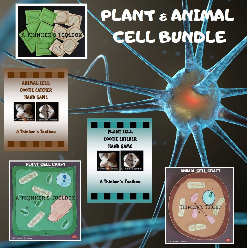 Plant and Animal Cell Science BUNDLE - Etsy