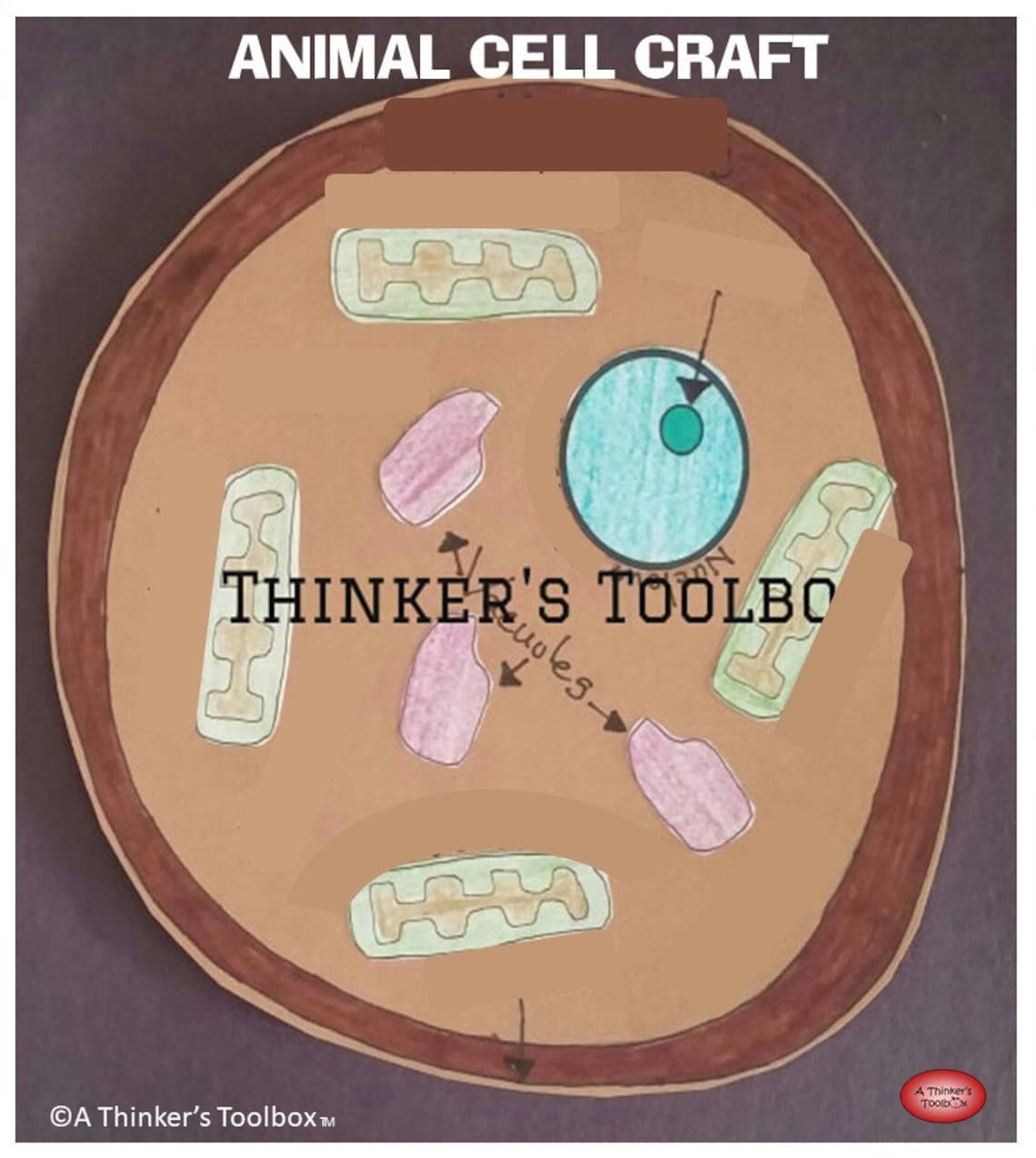 Animal Cell Science Craft classroom Display - Etsy
