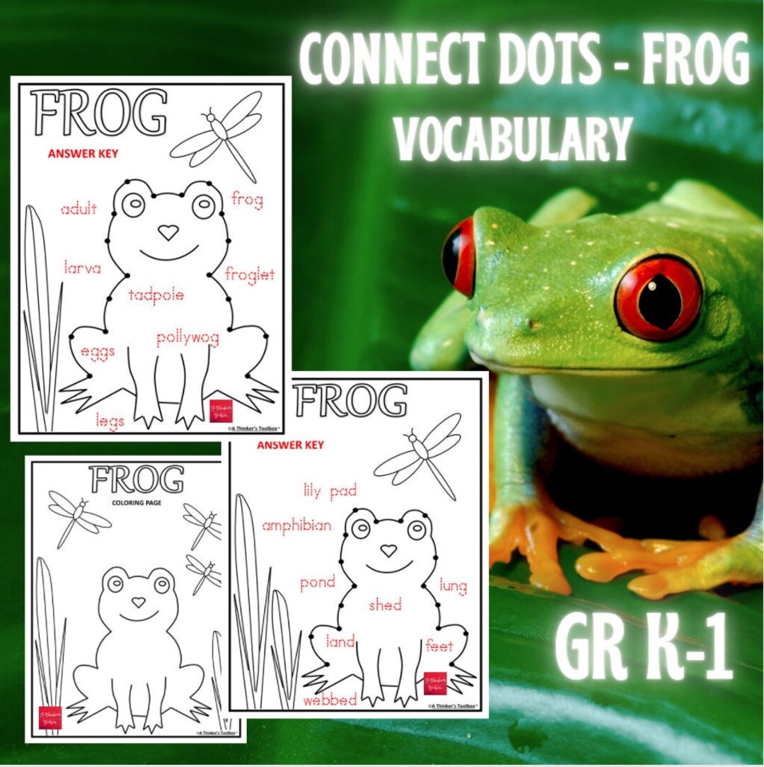 Frog Vocabulary Worksheets Connect the Dots - Etsy
