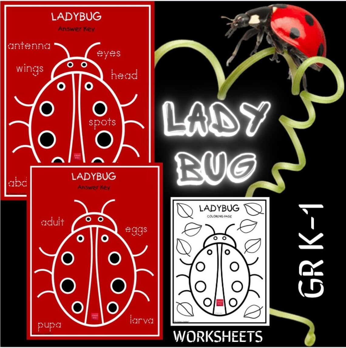 Lady Bug Science Worksheets Connect the Dots - Etsy