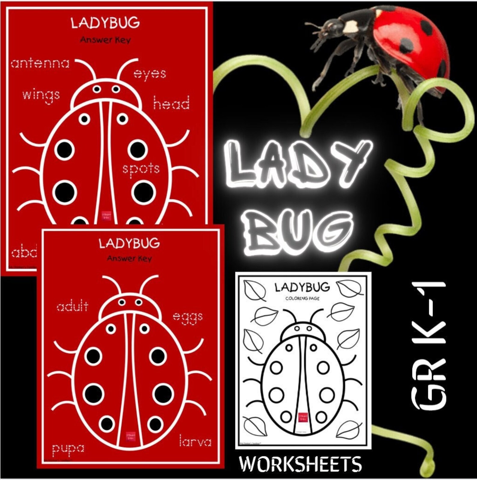 Lady Bug Science Worksheets Connect the Dots - Etsy
