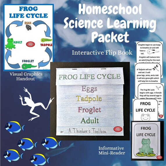 Frog Life Cycle Science Activities - Etsy