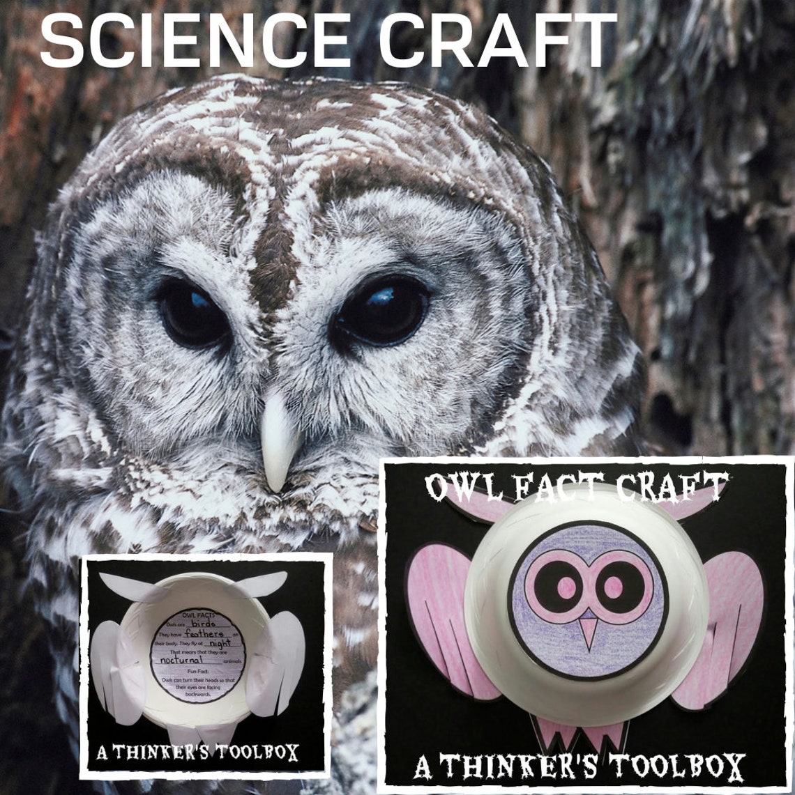 Owl Science Fact Activities & Mini Reader - Etsy