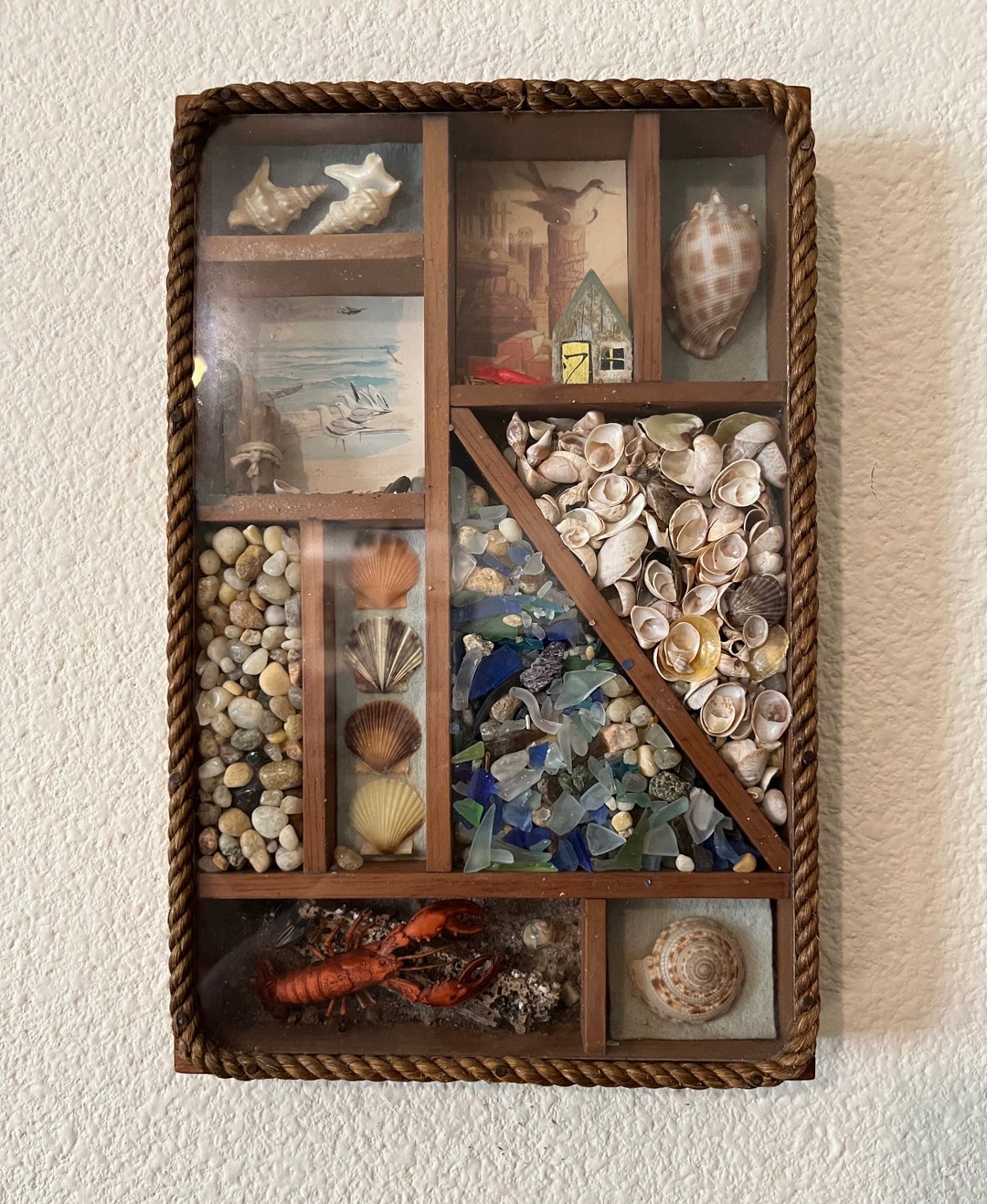 Vintage Sea Life and Seashell Shadow Box/diorama - Etsy